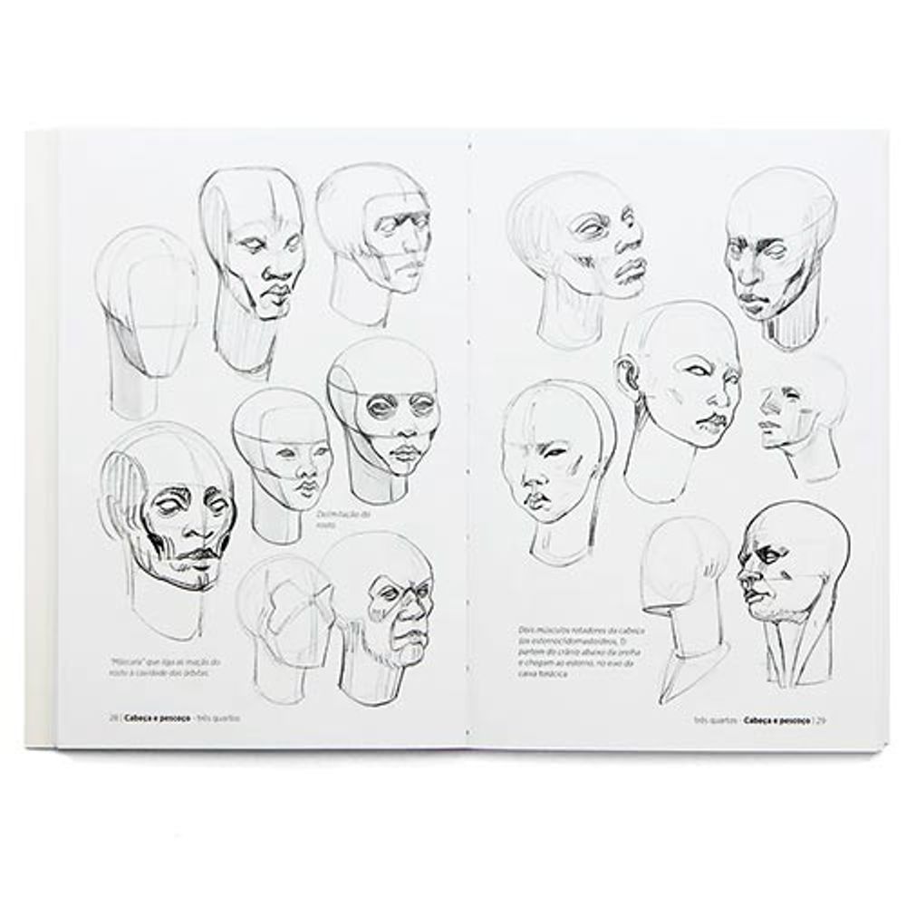 Livro Anatomia Artística 2 - Como Desenhar o Corpo Humano de Forma ...
